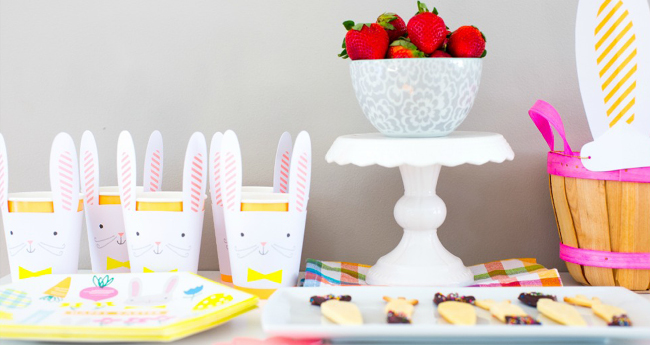 Party Supplies Dubai - Party Camel